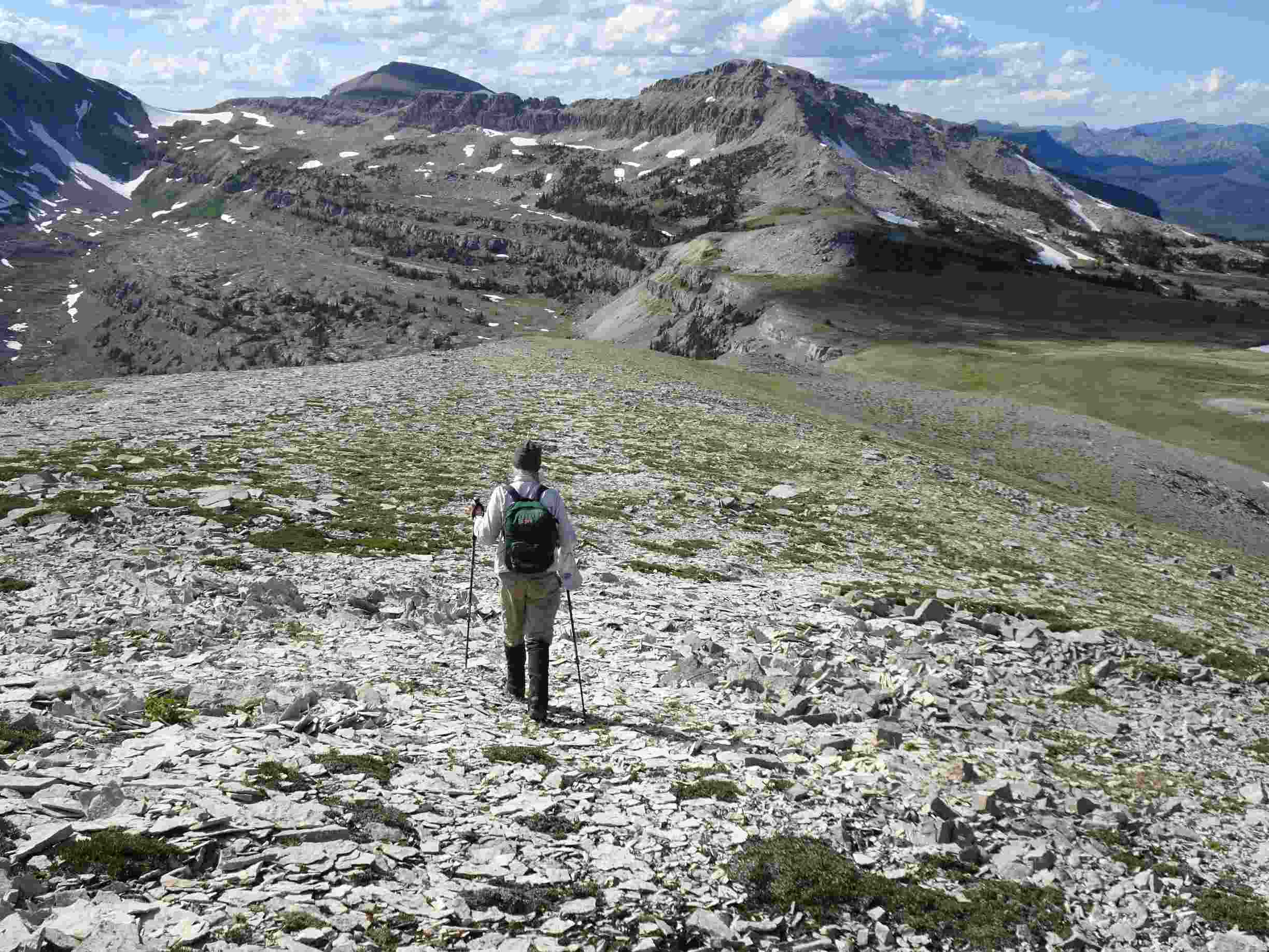 Flint Mountain, MT | July, 2016 | pnwsota.org