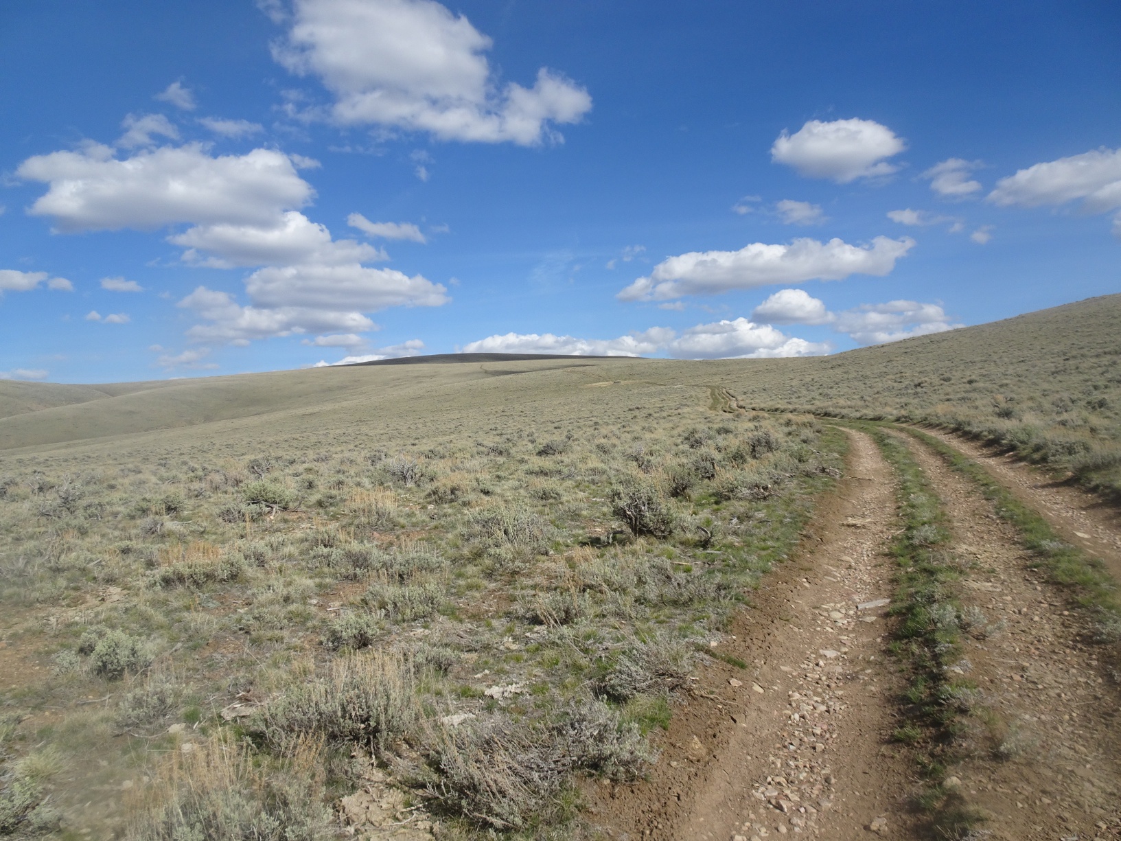 Taylor Benchmark, MT| May, 2019 | pnwsota.org