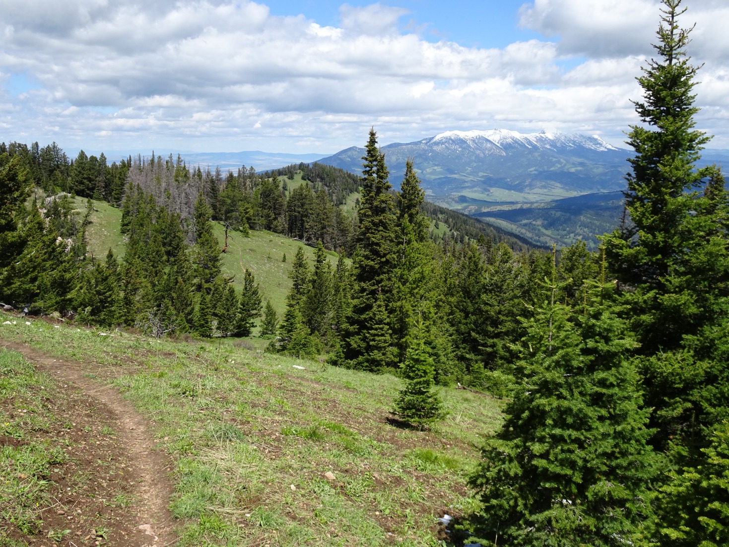 Chestnut Mountain, MT | June, 2017 | pnwsota.org