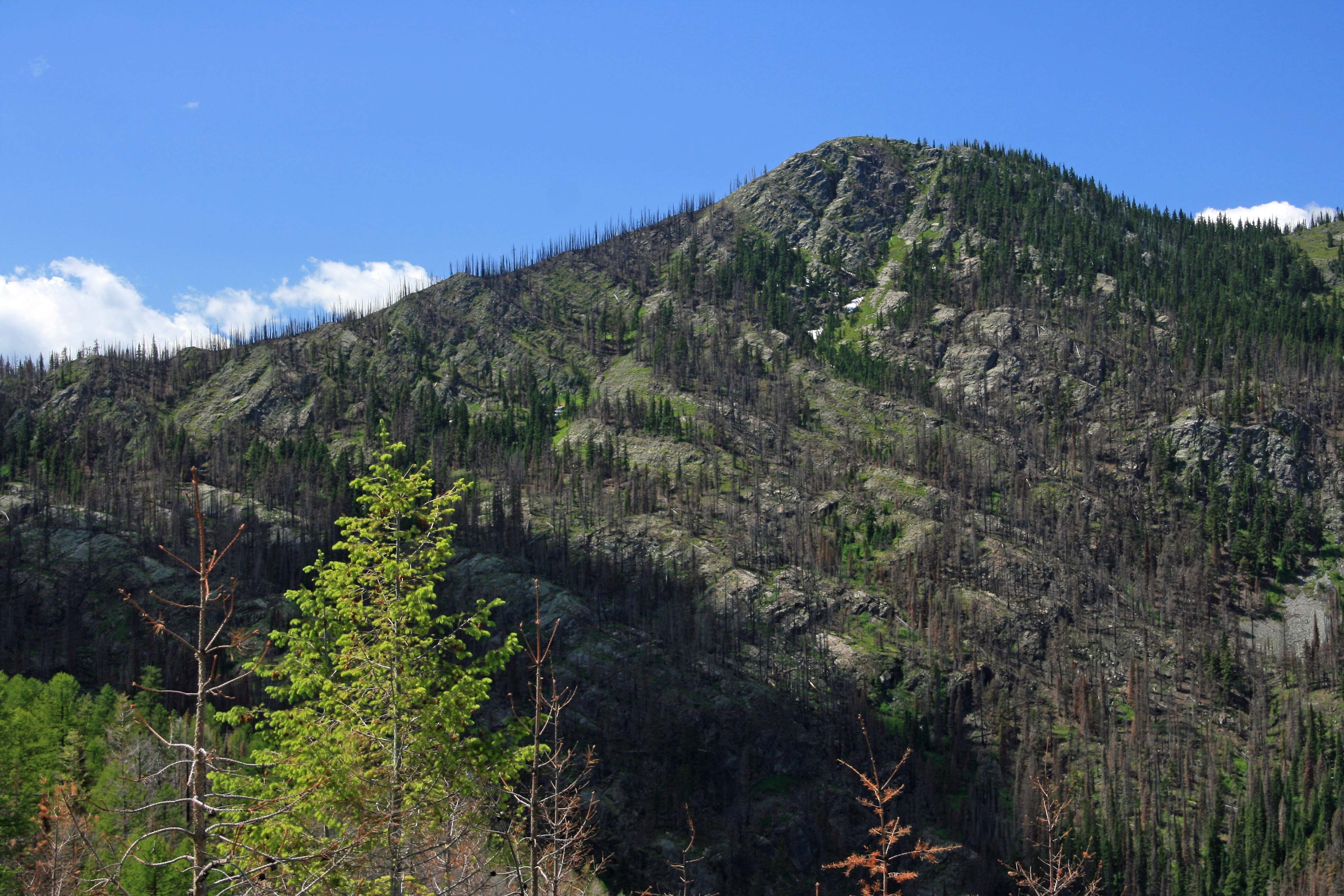 Montana - Vermilion Peak 1July2019 | pnwsota.org