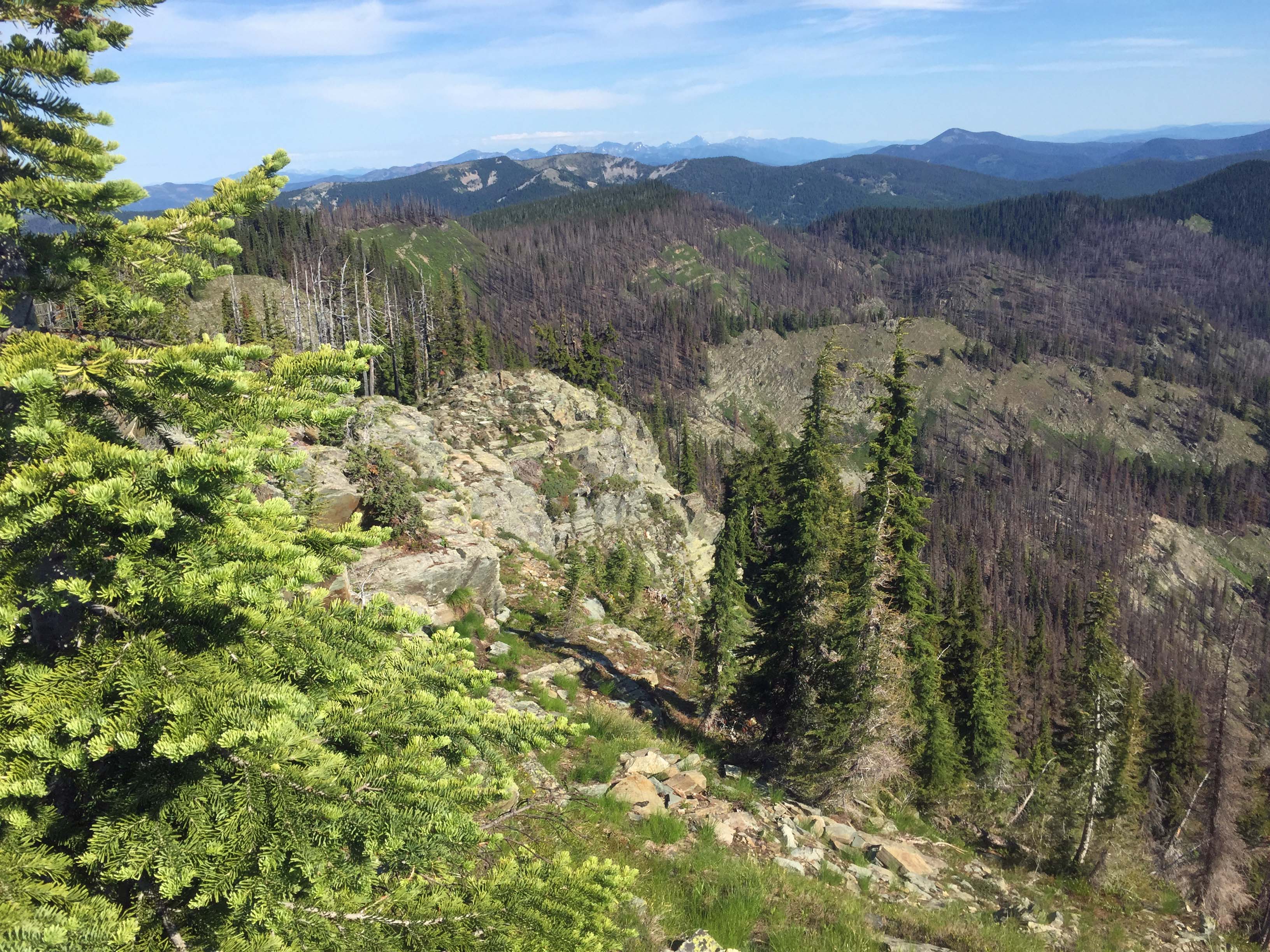 Montana - Vermilion Peak 1July2019 | pnwsota.org