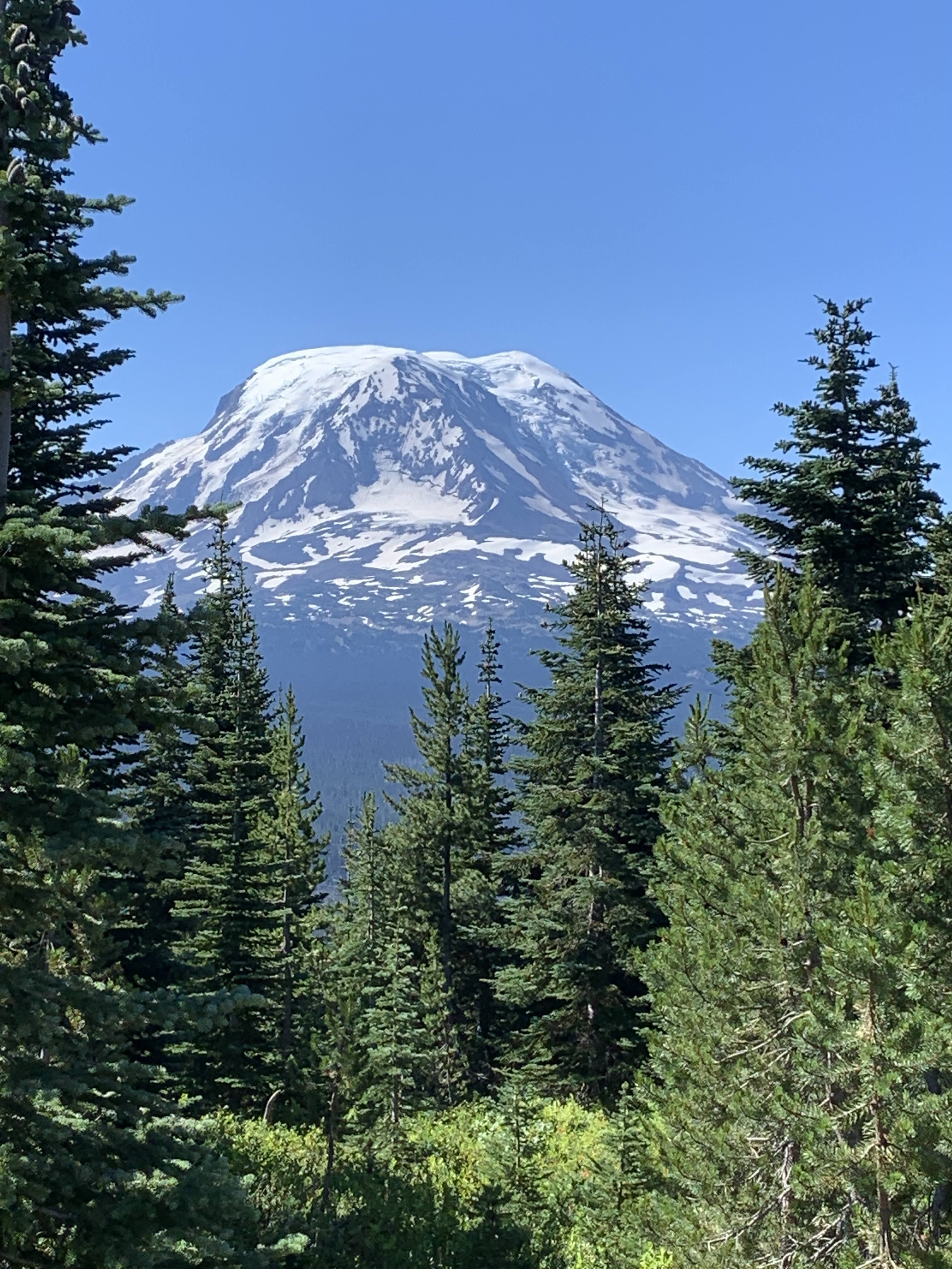 Potato Hill, WA | Access Update Aug 2022 | pnwsota.org