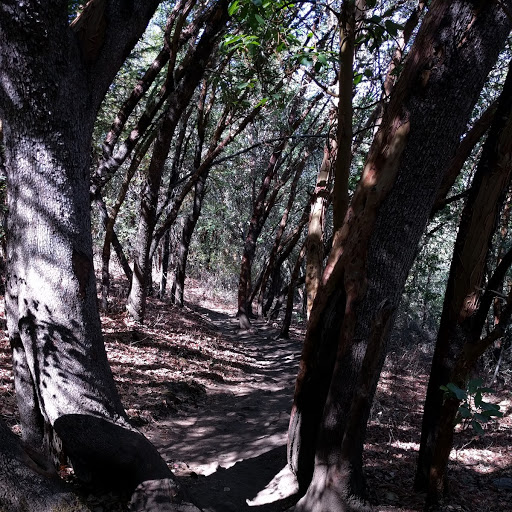 Central Point Oregon's Upper Table Rock: September 5, 2016 | pnwsota.org