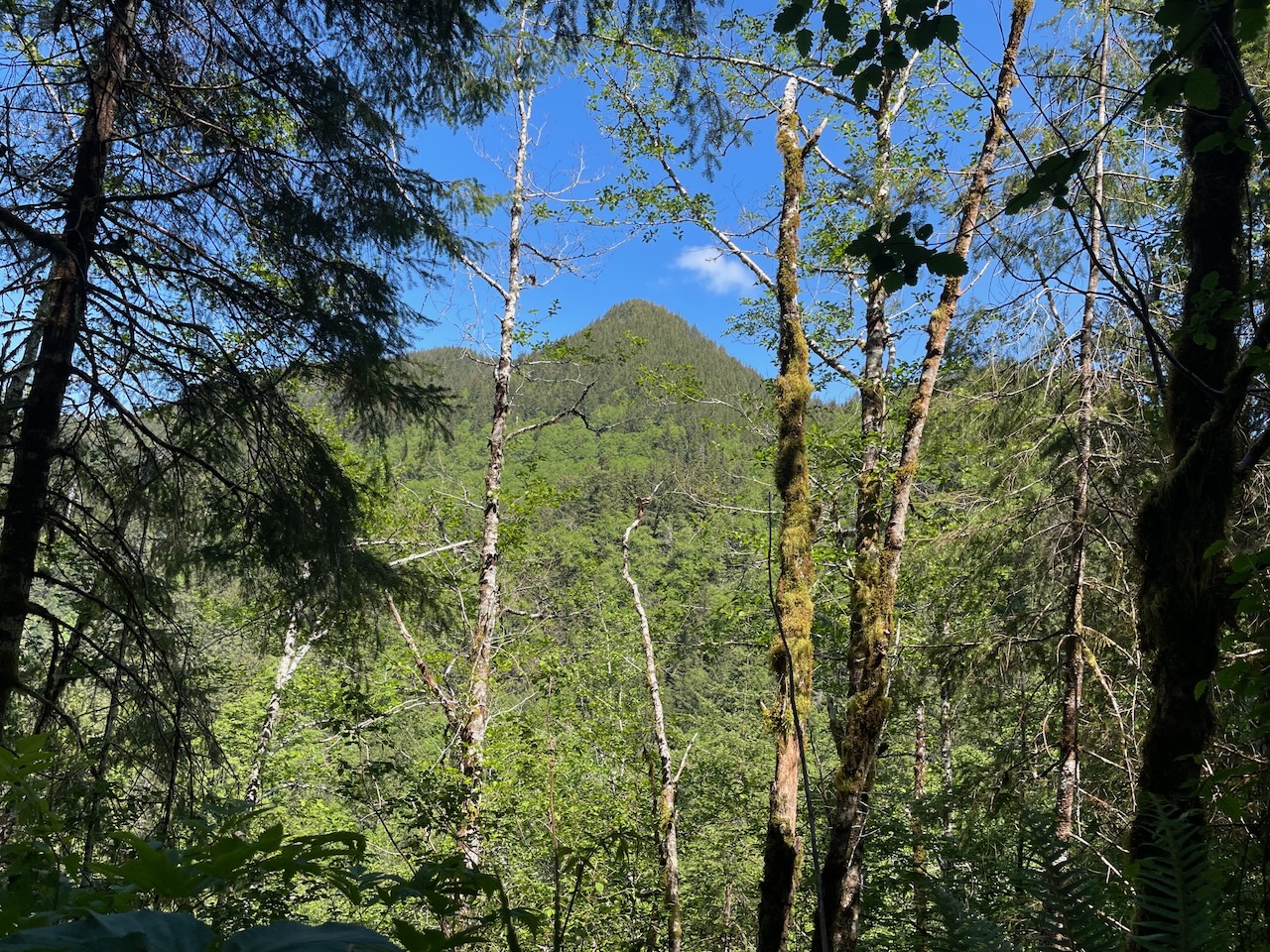 Stanley Peak, OR | June 2023 | pnwsota.org